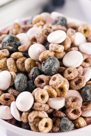 6 Nut-Free Trail Mix Recipes - Camp.Grill.Eat.